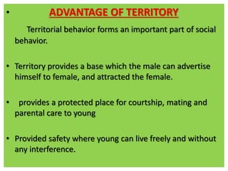 Territoiality in arthropoda | PPTX