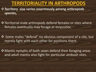 Territoiality in arthropoda | PPTX
