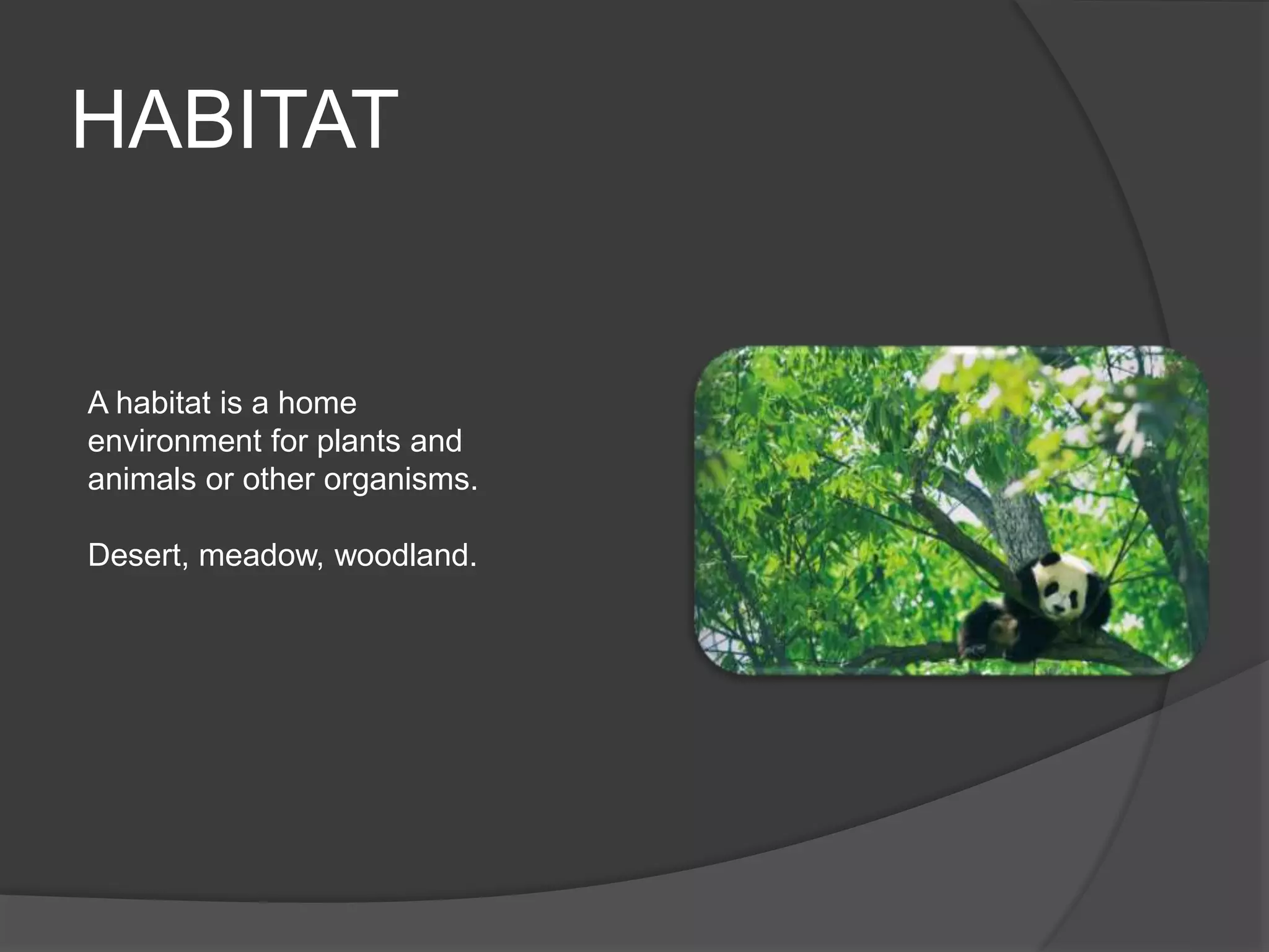 Territorial ecosystem | PPT