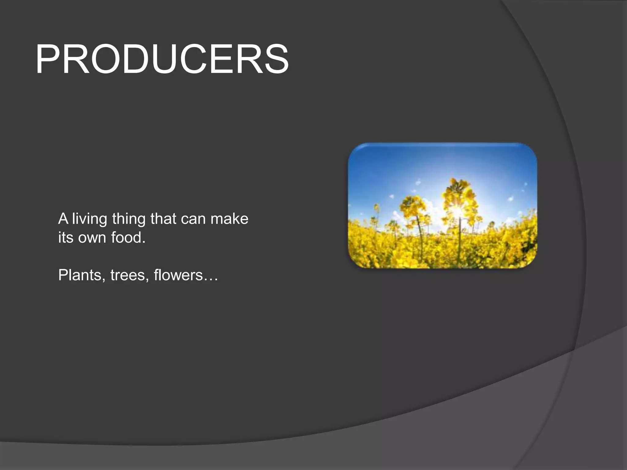 Territorial ecosystem | PPT