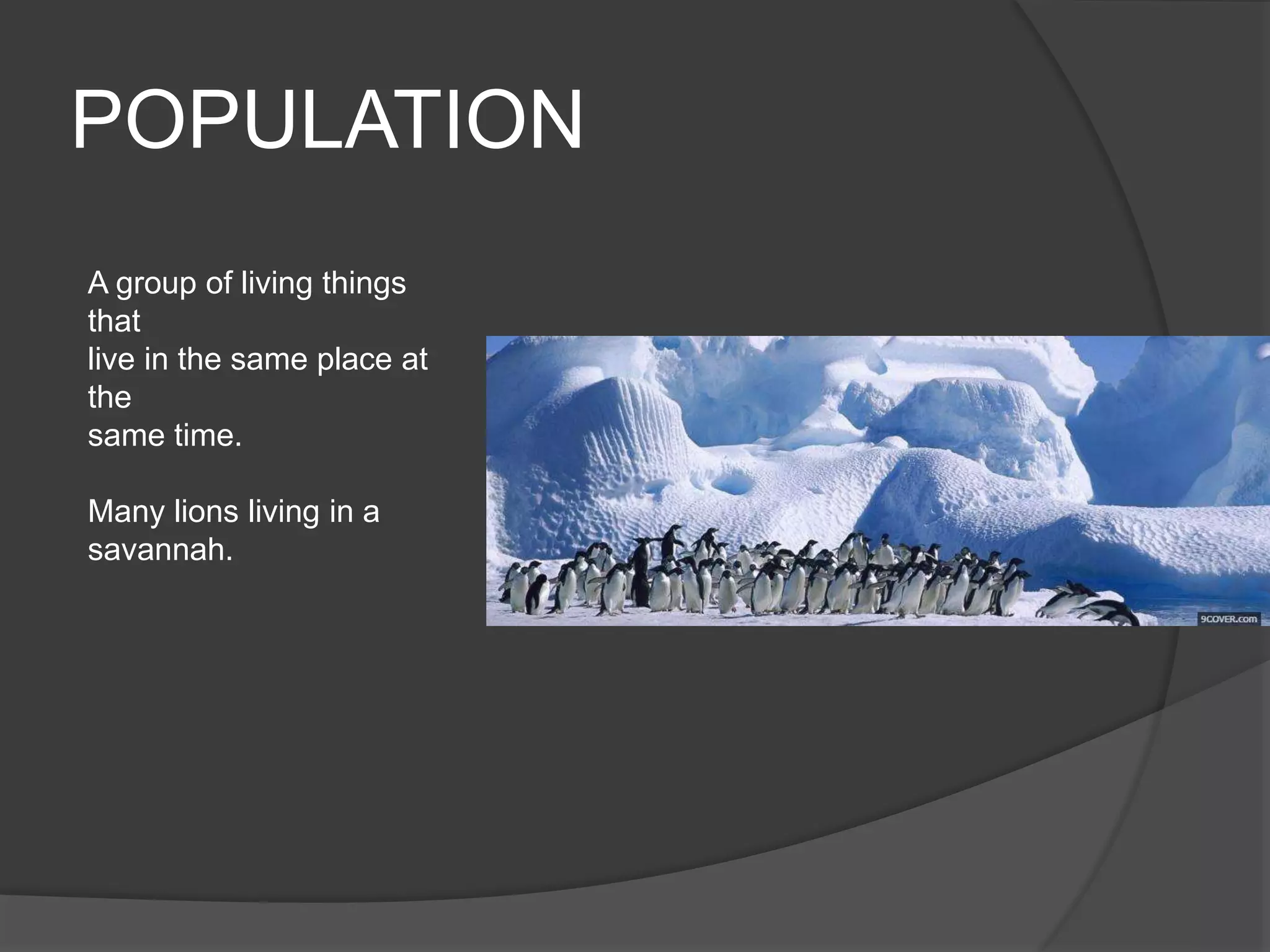 Territorial ecosystem | PPT