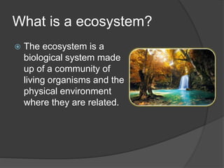Territorial ecosystem | PPTX