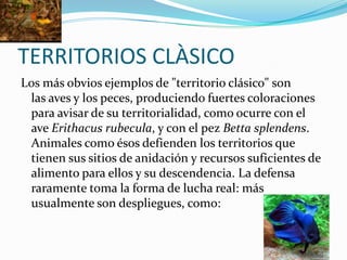 Territorialidad Y El área De Los Mamíferos Pptx