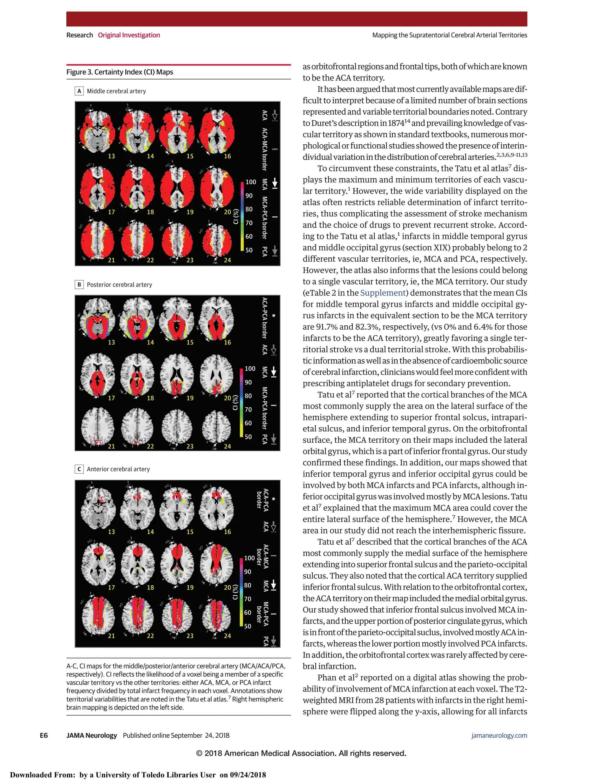 Territorios arteria cerebral. Neurología | PDF