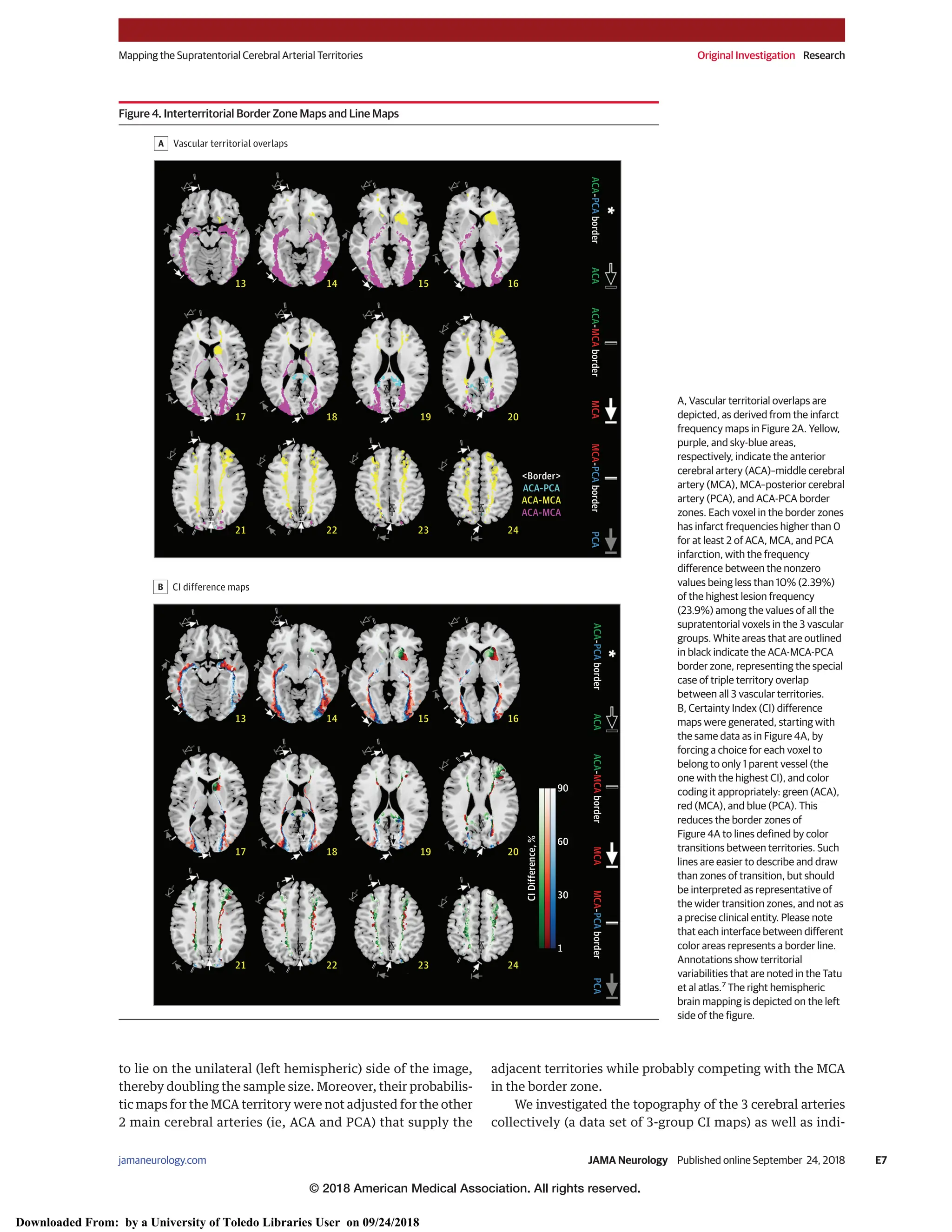 Territorios arteria cerebral. Neurología | PDF