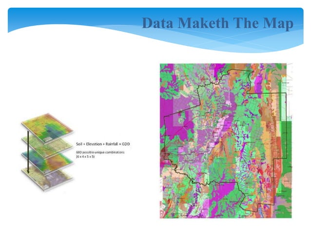 Wine Region Mapping – The attributes of the terroir | PPTX