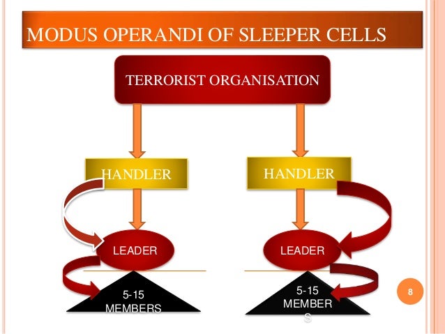 Terror sleeper cells
