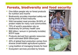 Forests, biodiversity and food security | PPT