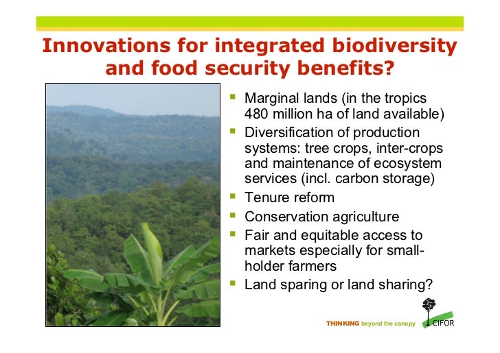 Forests, biodiversity and food security