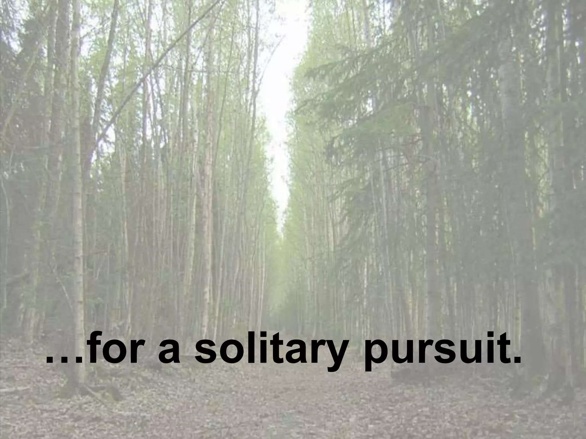 Terry Fox Powerpoint | PPTX