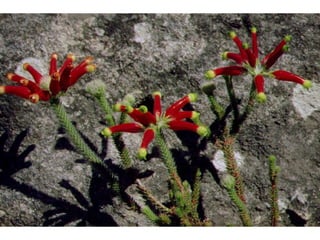 IHA Congress 2011 - Session 4c - Terry Moss | PPTX