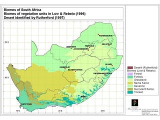 IHA Congress 2011 - Session 4c - Terry Moss | PPTX
