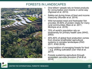 Forests, Ecosystem Services and Food Security | PPTX