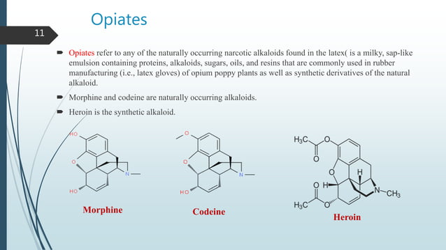 Tertiary Amines Presentation For M.phill Students | PPTX | Illegal ...