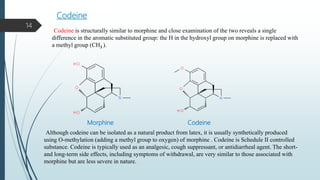 Tertiary Amines Presentation For M.phill Students | PPTX