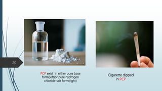 Tertiary Amines Presentation For M.phill Students | PPTX