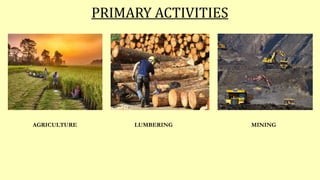 Tertiary and quatenary activities (1) | PPTX