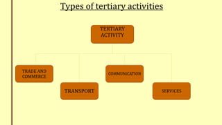 Tertiary and quatenary activities (1) | PPT