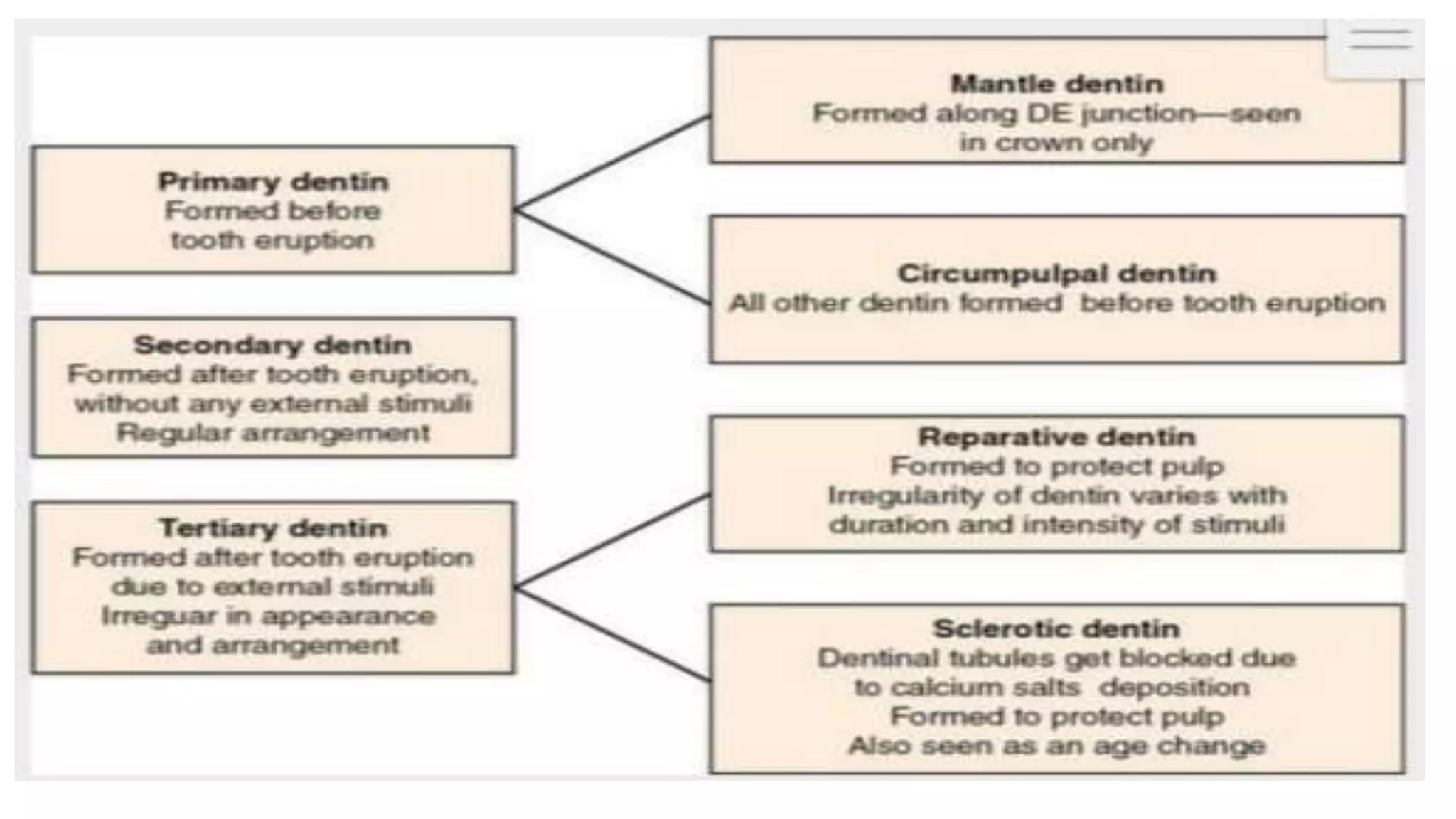 tertiary dentin.pptx
