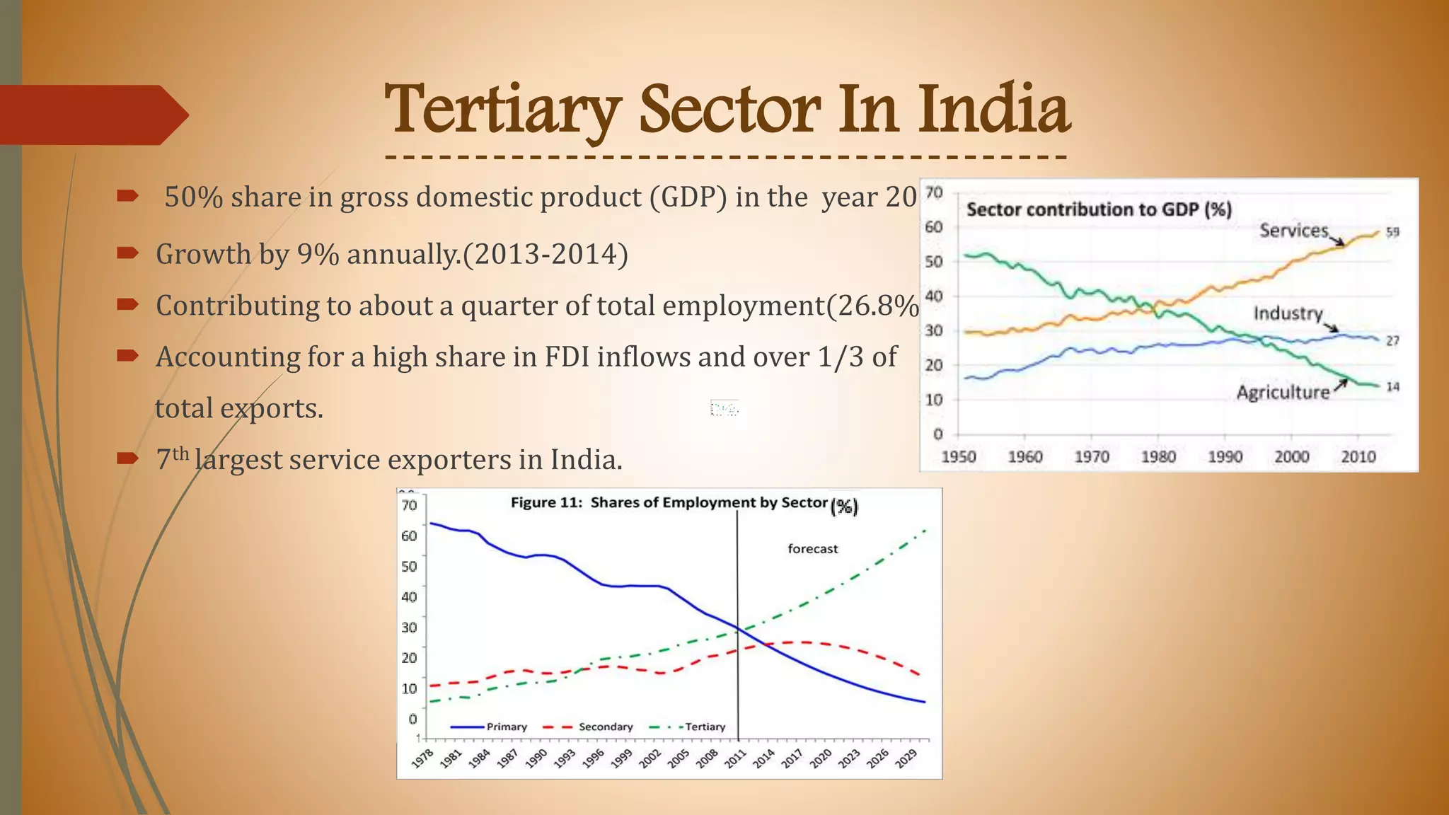 Tertiary economic activites | PPTX