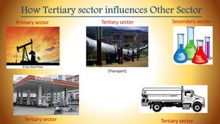 Tertiary economic activites | PPTX