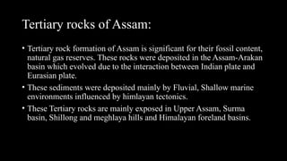 A Presentation on Tertiary Rocks of India.pptx