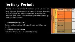 A Presentation on Tertiary Rocks of India.pptx