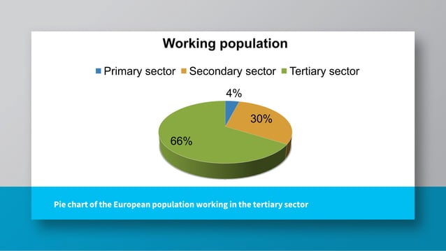 Tertiary sector | PDF