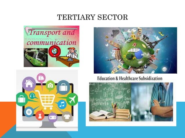 Tertiary sector | PPTX | Economy | Business and Finance