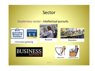Tertiary Sector: Other Activities | PPTX