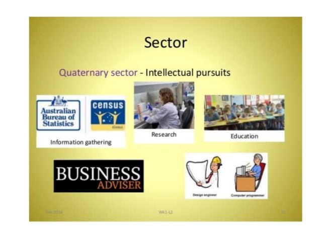 Tertiary Sector: Other Activities