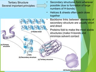 Tertiary structure | PPTX