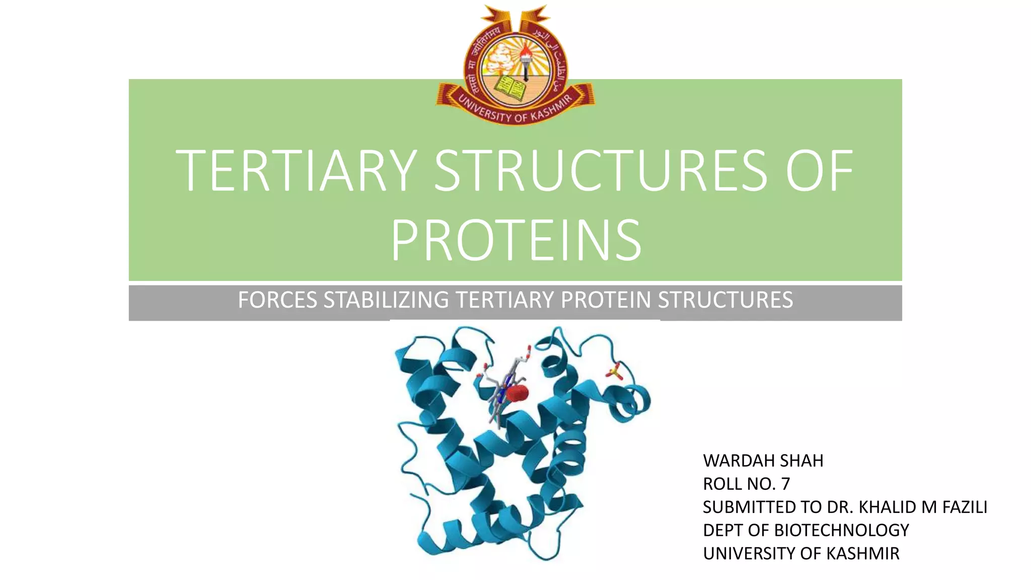 Tertiary Structure of Proteins | PPTX