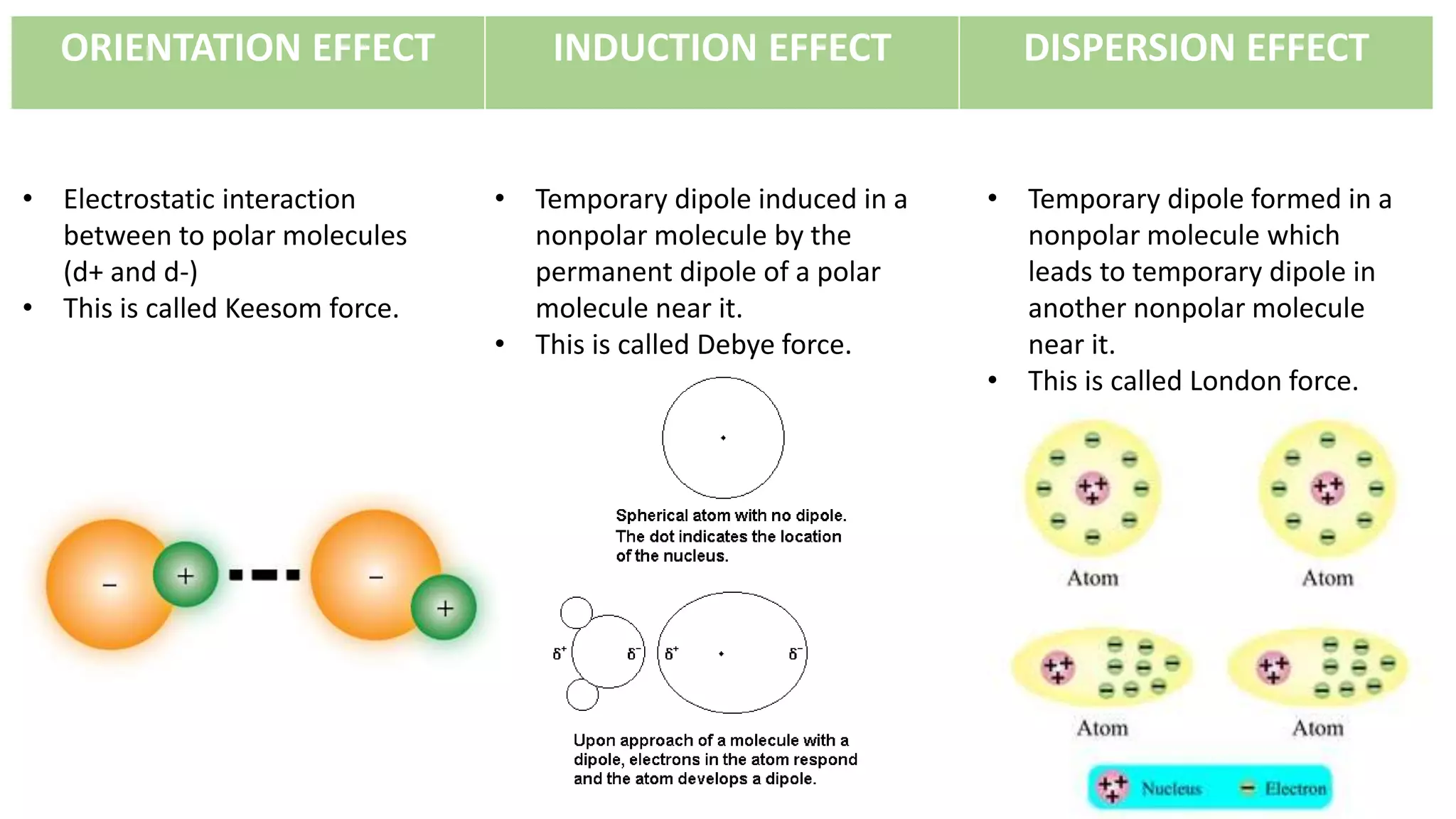 Tertiary Structure of Proteins | PPTX