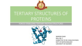 Tertiary Structure of Proteins | PPTX