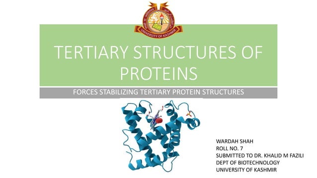 Tertiary Structure of Proteins | PPTX