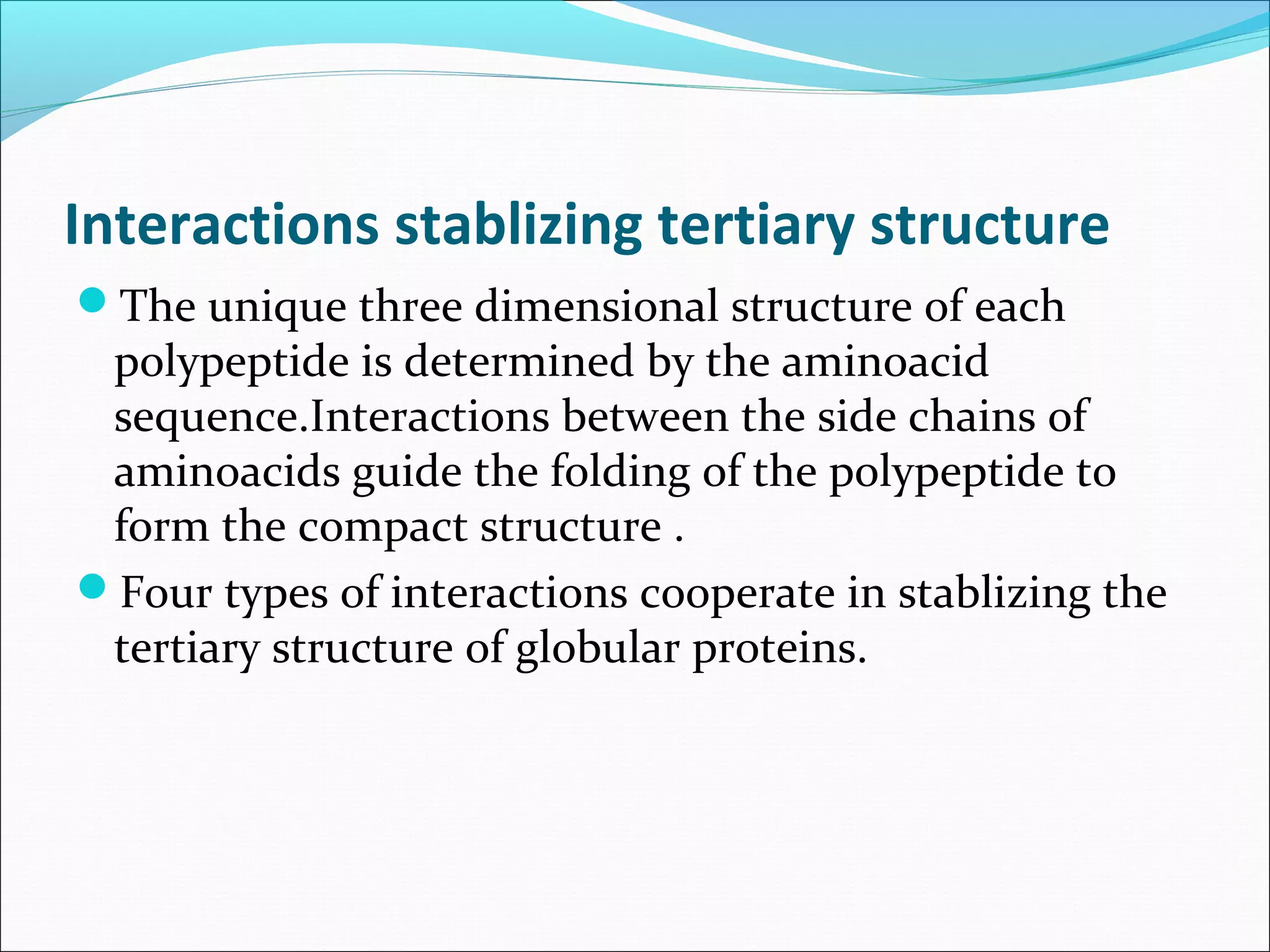 Tertiary structure of proteins | PPT