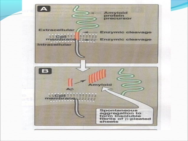 Tertiary structure of proteins | PPT