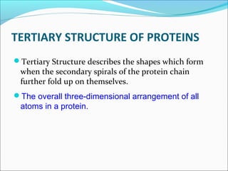 Tertiary structure of proteins | PPT