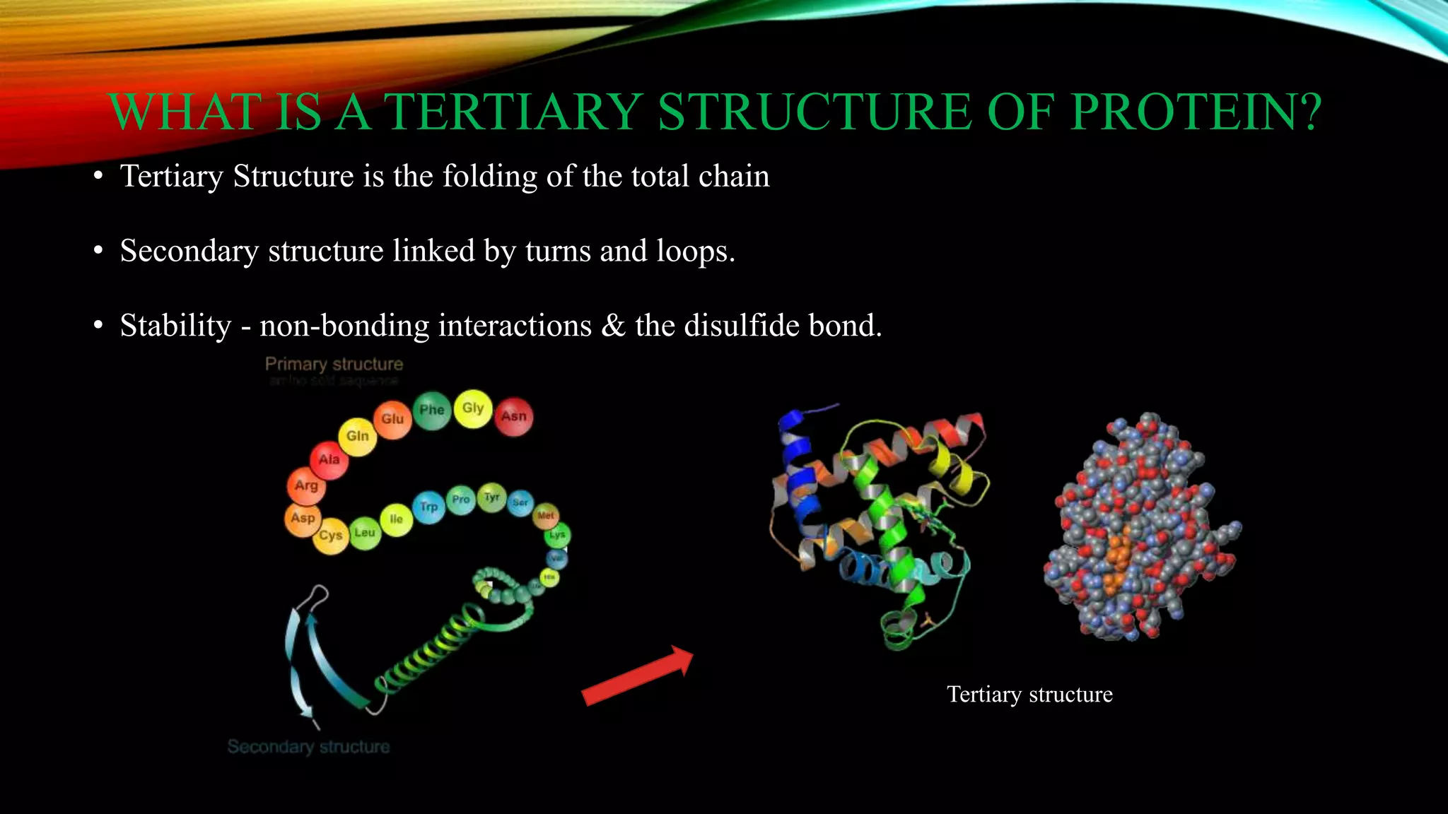 Tertiary structure prediction- MODELLER, RASMOL | PPTX