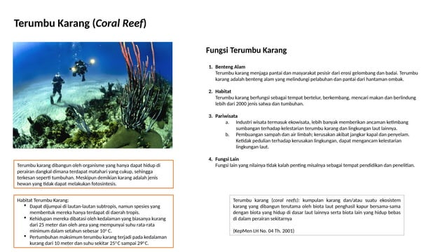 fungsi dan manfaat terumbu karang untuk lingkunggan sekitar | PPT