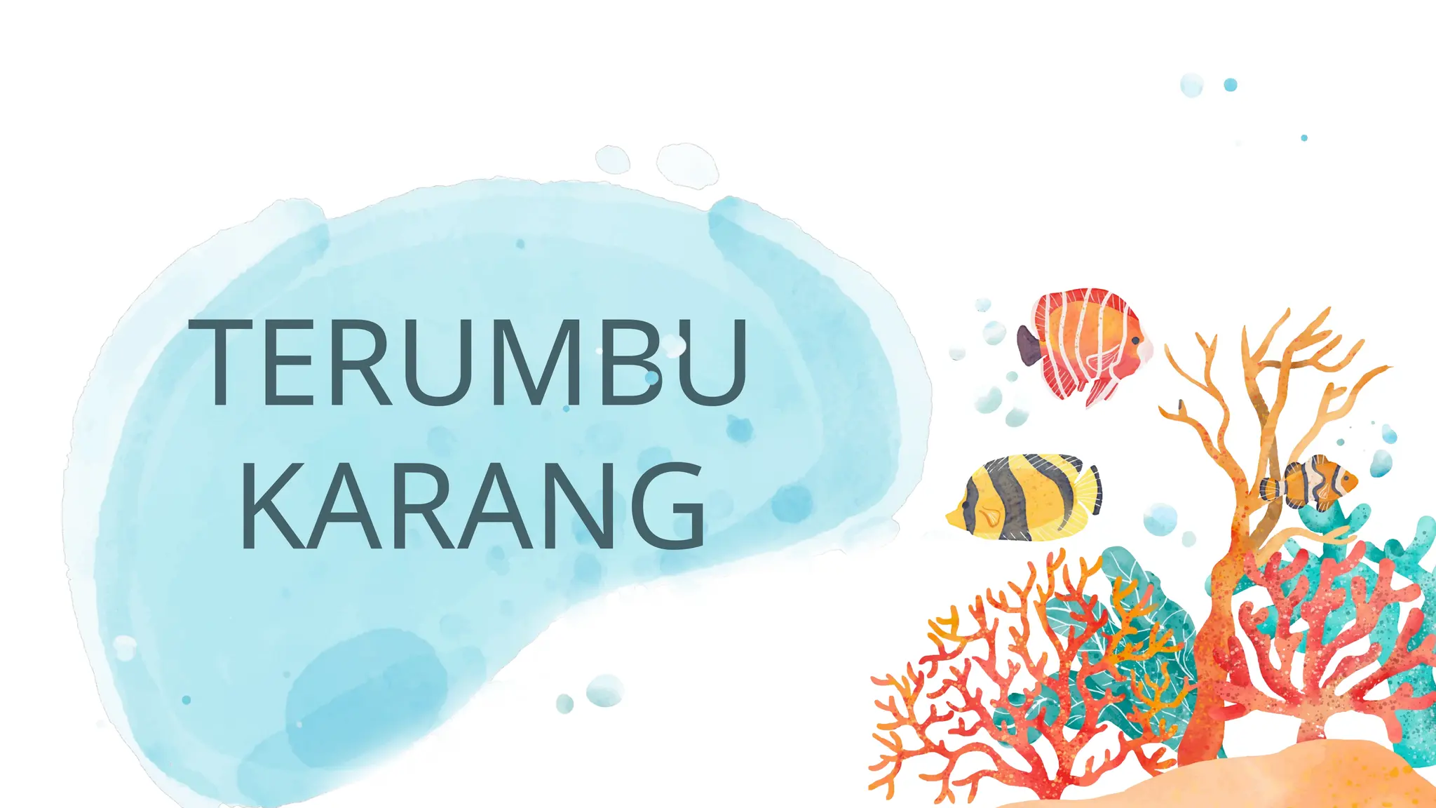 terumbu karang biologi laut (klasifikasi dsb).pptx