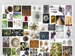 Natural Form Sculpture | PPTX