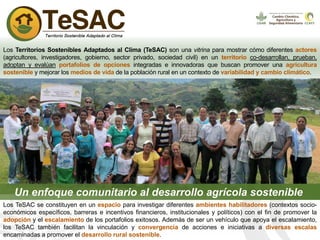 TeSAC Cauca (Colombia) | PPTX