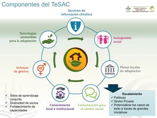 TeSAC Cauca (Colombia) | PPTX