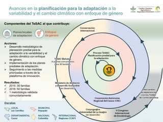 TeSAC Cauca (Colombia) | PPTX