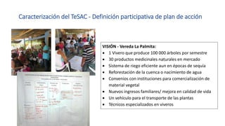 TeSAC Natagaima (Tolima, Colombia) | PPTX