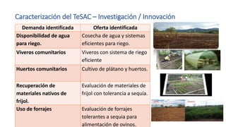 TeSAC Natagaima (Tolima, Colombia) | PPTX