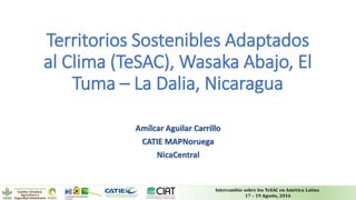 TeSAC El Tuma-La Dalia (Nicaragua) | PPTX