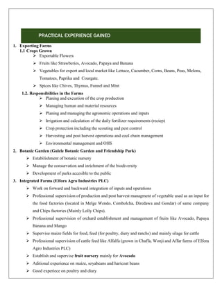 Tesfaye Asegidew Beyene- Curriculum Vitae.pdf